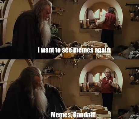 Best Funny capybara Memes - 9GAG