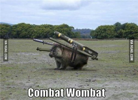 Funny Australian Army Memes