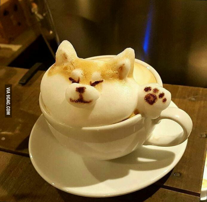 Doge coffee #sowow (cafe reissue) - 9GAG