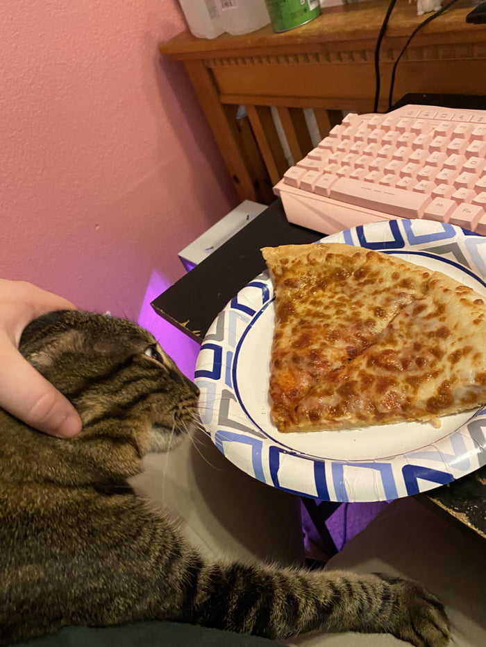 This was his 3rd attempt to get a bite. - 9GAG