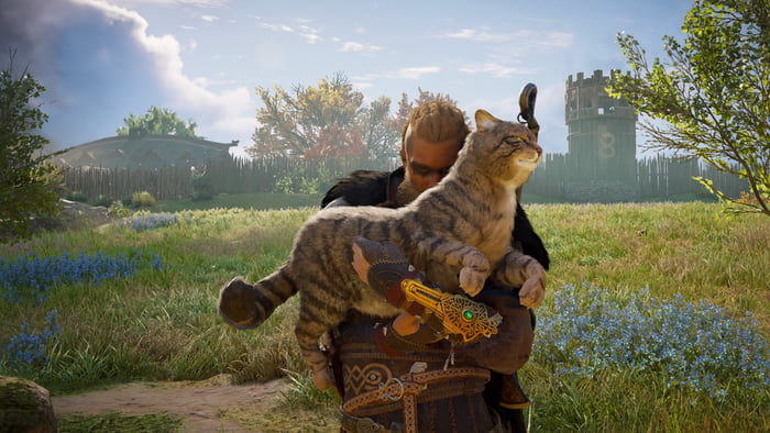 Assassin’s Creed Valhalla’s Cats Are Incredibly Huge - 9GAG