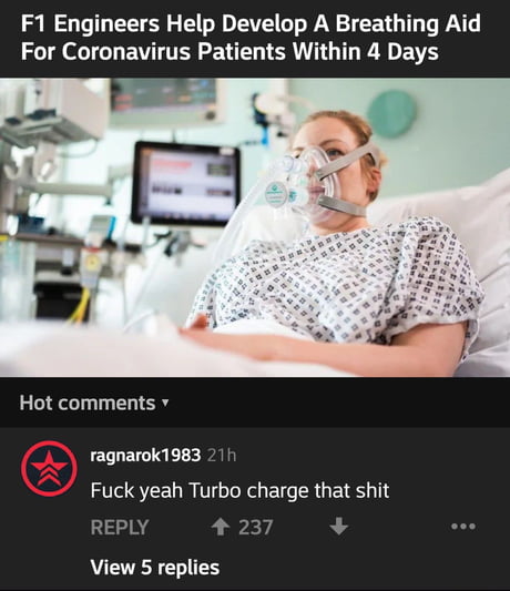 Cat testicles - 9GAG