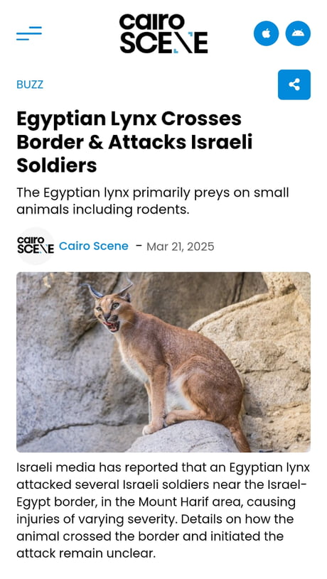 Best Funny lynx Memes - 9GAG