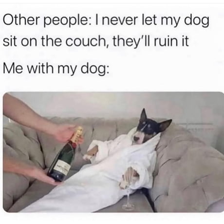 Best Funny couch Memes - 9GAG