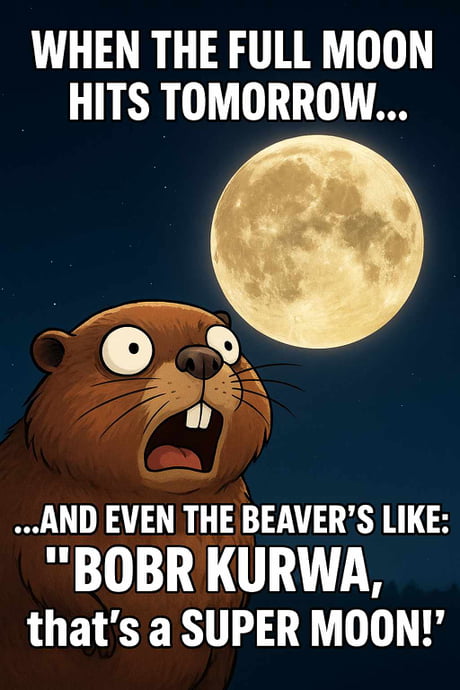 Funny Moon Memes