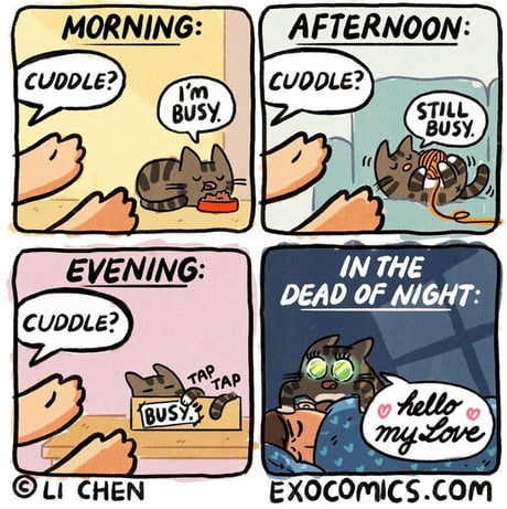 Best Funny cuddle Memes - 9GAG