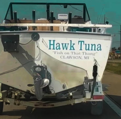 Best Funny tuna Memes - 9GAG