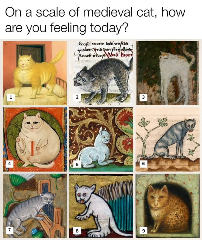 Which medieval cat are you today? - 9GAG