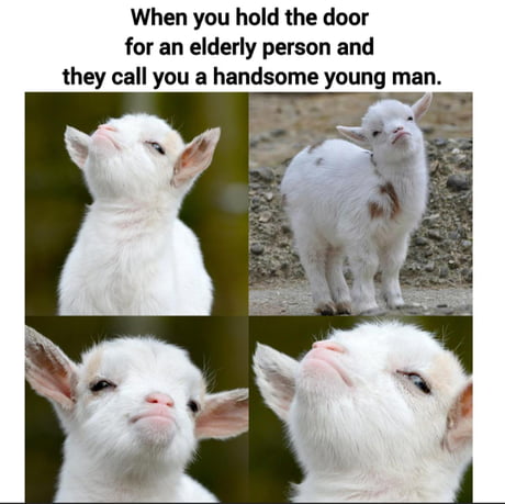 Best Funny handsome Memes - 9GAG
