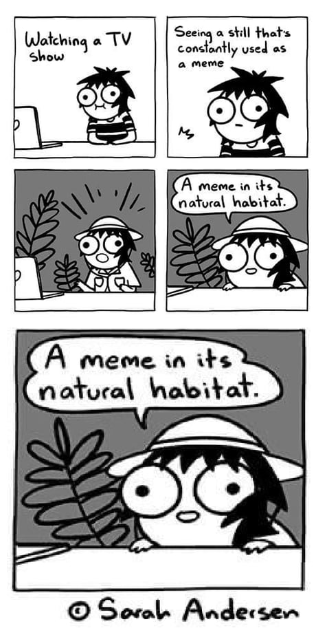Best Funny sarah andersen Memes - 9GAG