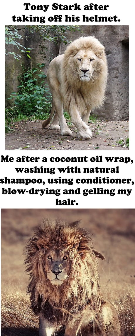 Lion Coconut Oil Memes