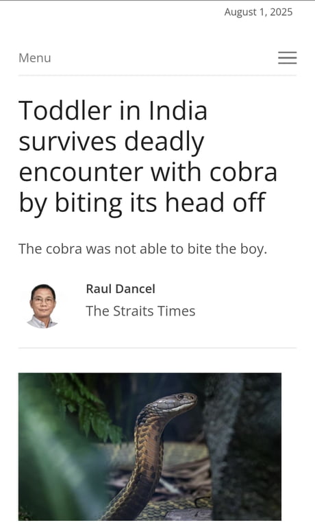 King Cobra Orlando Memes