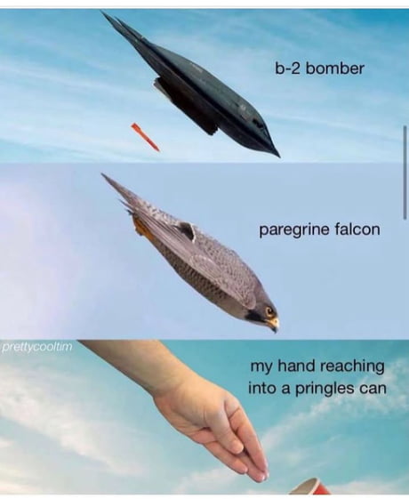 Stealth Bomber Memes