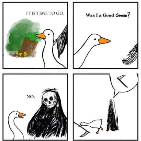 Best Funny goose Memes - 9GAG