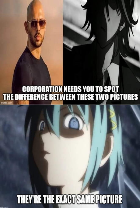 Sayaka Memes