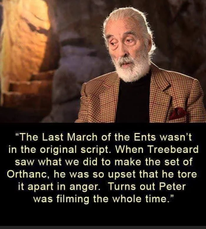 Treebeard had enough of their shenanigans - 9GAG