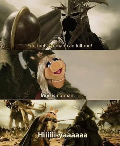 Best Funny muppet Memes - 9GAG