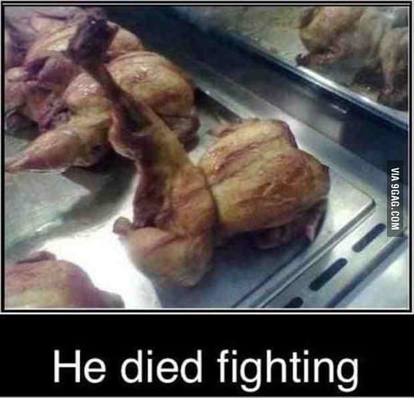 Best Funny fighting Memes - 9GAG