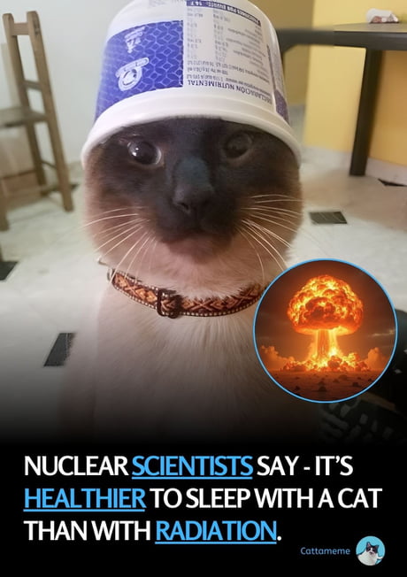 Funny Radiation Memes Hawking Radiation Funny : R/sciencememes