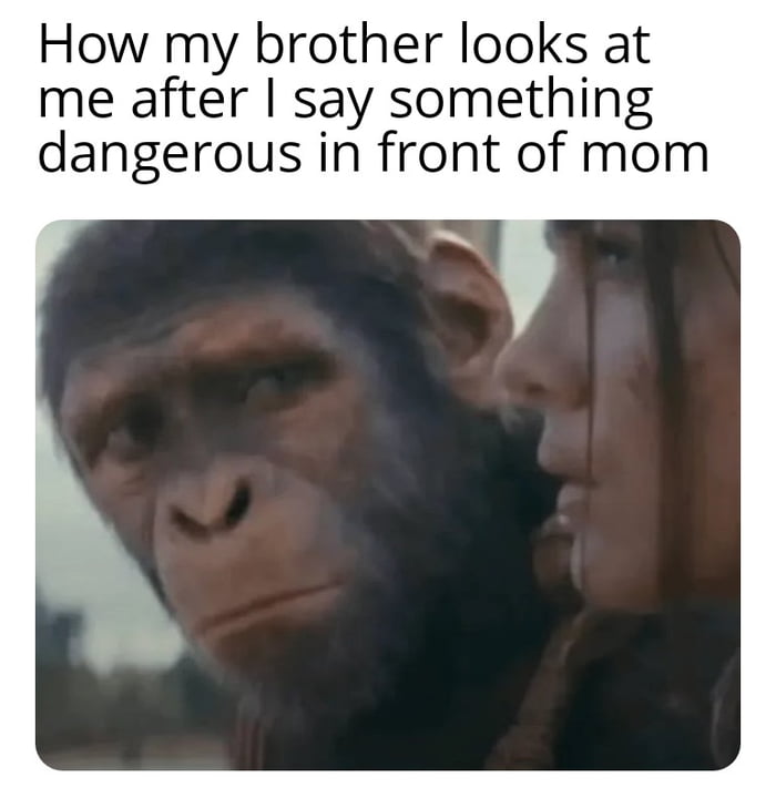 What a judgmental monkey! - 9GAG