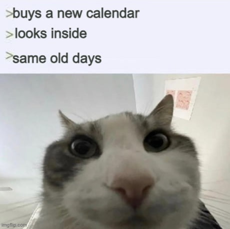 Memes On Disappointment