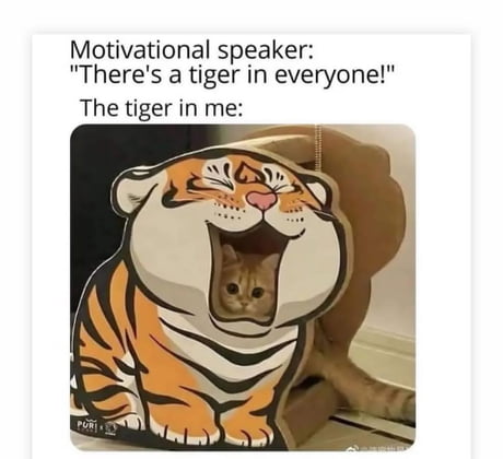 Best Funny tiger Memes - 9GAG