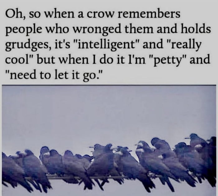 Embracing my inner crow. - 9GAG