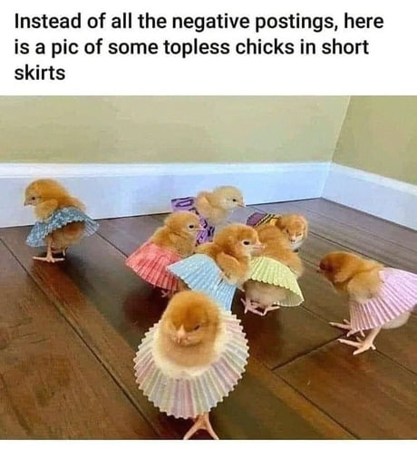 Best Funny skirts Memes - 9GAG