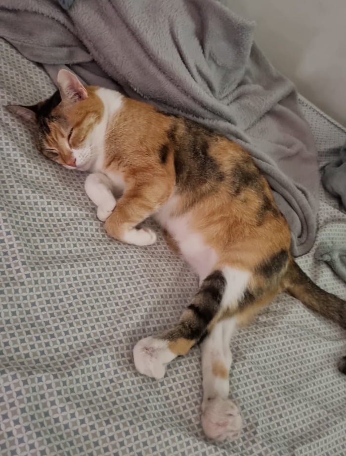 My dumbass,ginger,she is stupid - 9GAG