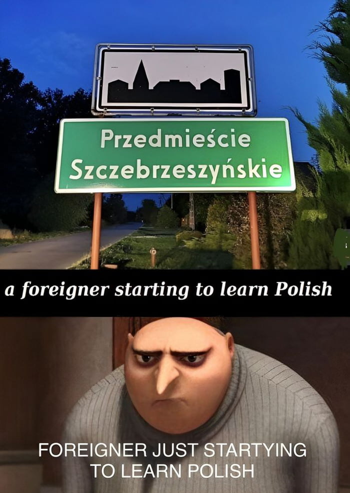 The foreigner already learned how to smile in Polish - 9GAG