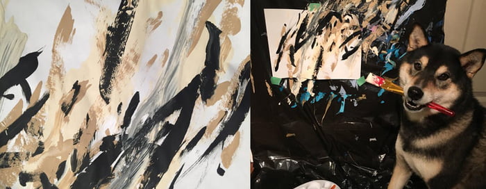 This Shiba Inu Paints Abstract Art And You Can Even Buy His Work - 9GAG