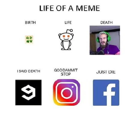 Memes Life Cycle