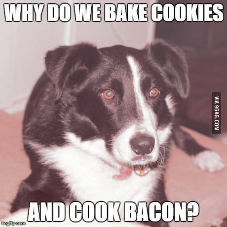 Concerned Dog Meme