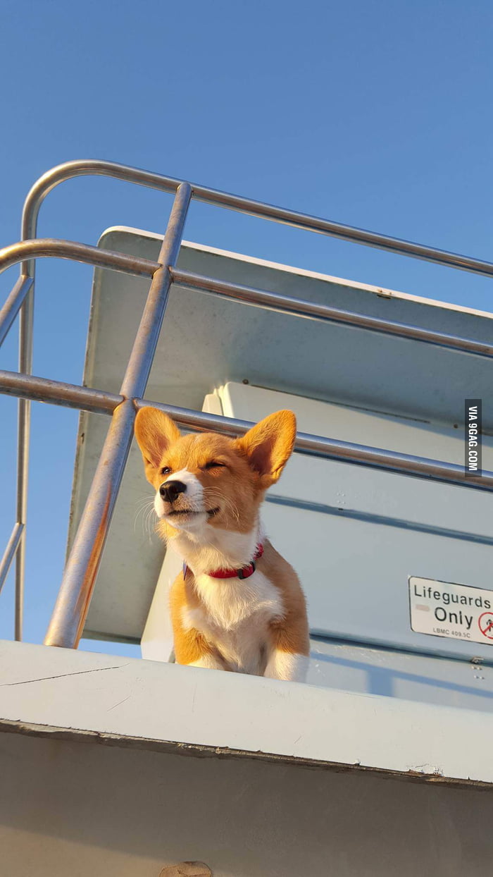 The Han Solo smirk - 9GAG