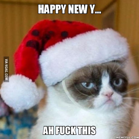 Nollag Merry Cat Grumpy Meme 38 Hissterical Cat Memes For All The
