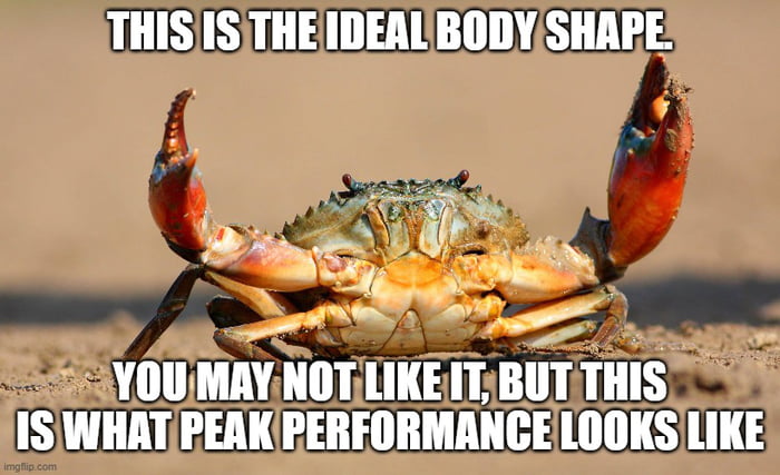 Our inevitable future - 9GAG