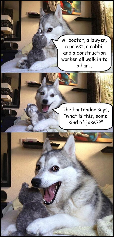 9gag Pun Husky