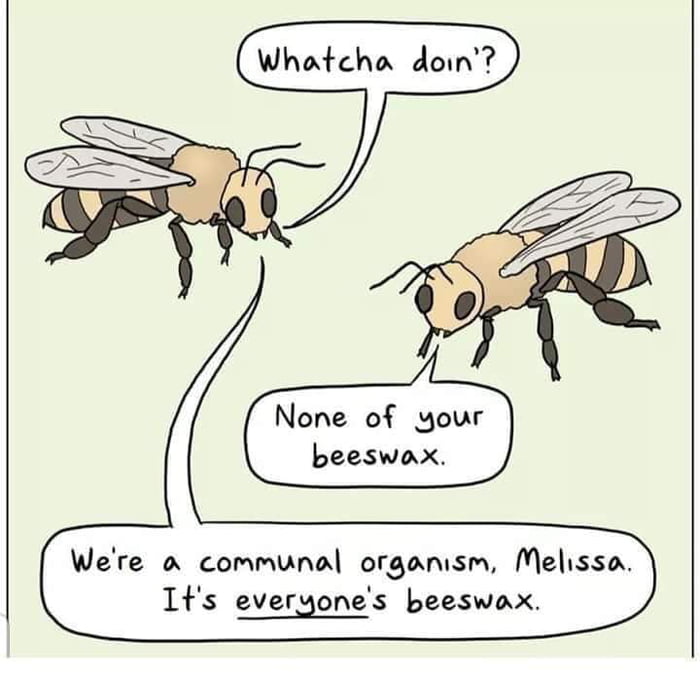 Beeswax - 9GAG