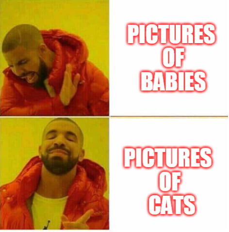 Show me your kitties - 9GAG