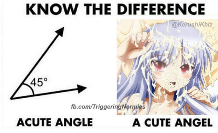 Remember to always lewd the loli - 9GAG