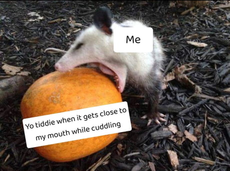 Best Funny cuddle Memes - 9GAG