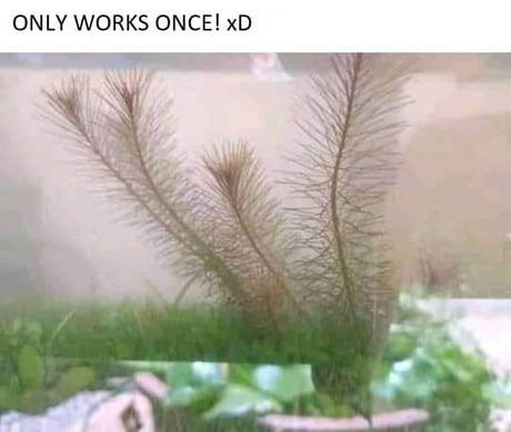 Best Funny vision Memes - 9GAG