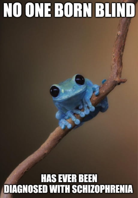 Best Funny schizophrenia Memes - 9GAG