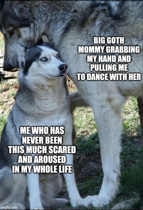 Best Funny scaroused Memes - 9GAG