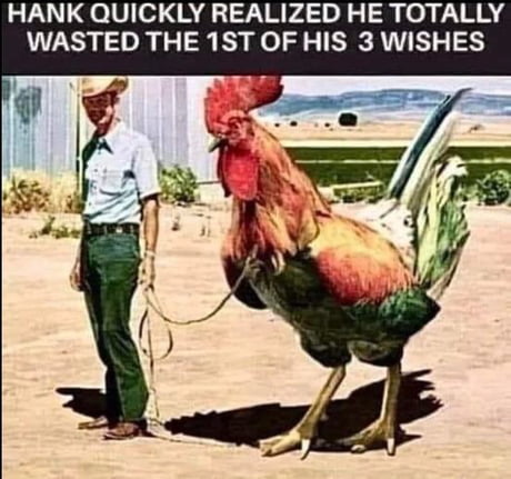Best Funny rooster Memes - 9GAG