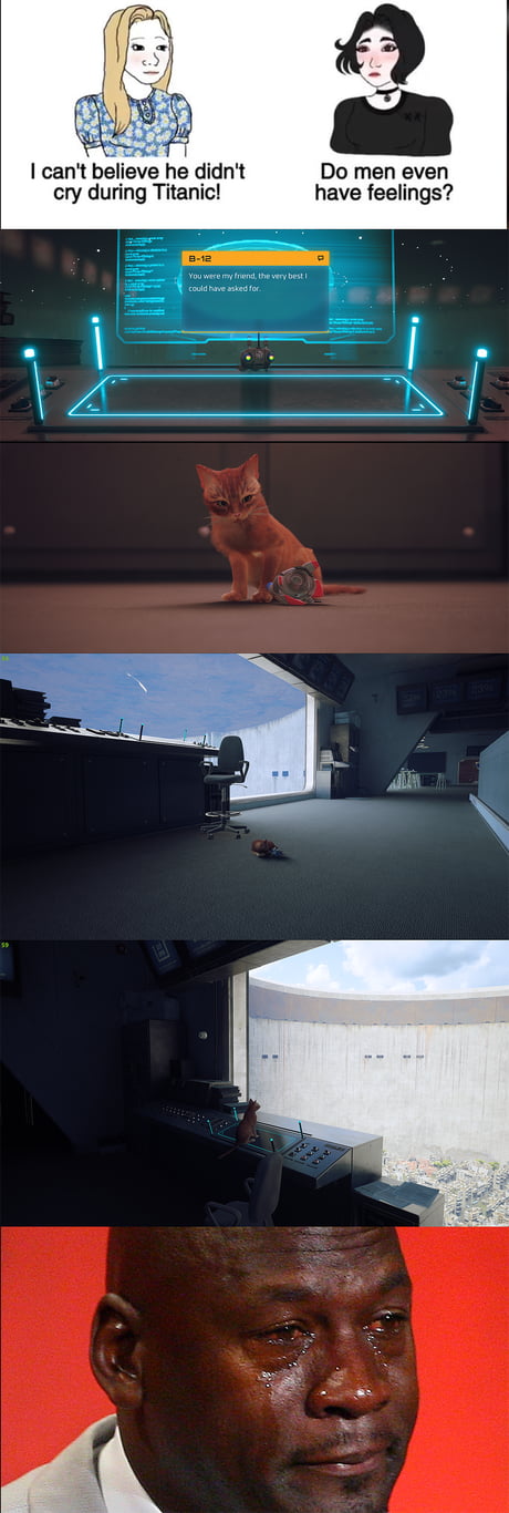 30+ Stray Memes, Highlights, and Videos