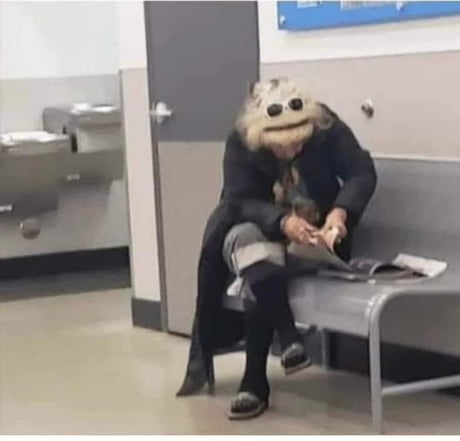 Best Funny muppet Memes - 9GAG