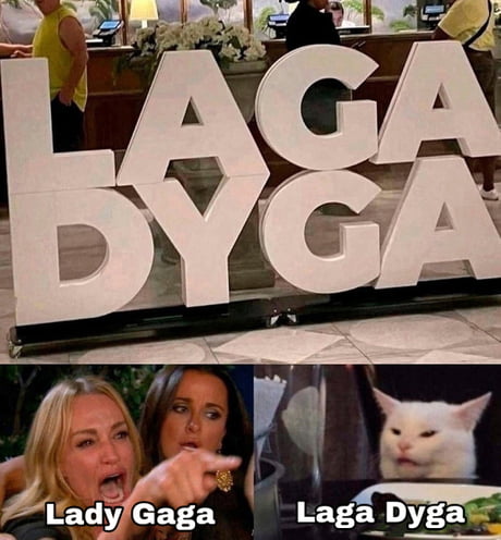 Best Funny lady gaga Memes - 9GAG