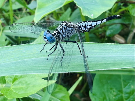 Best Funny fly Memes - 9GAG