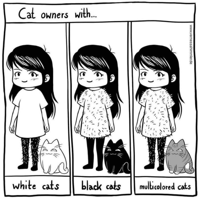 Cat Coats 9GAG Cat Coats 9GAG